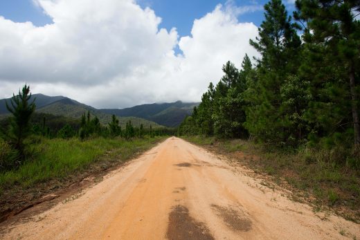 Cairns & Great Barrier Reef | カードウェル・スパプールを訪れた時にしなければならない12の事