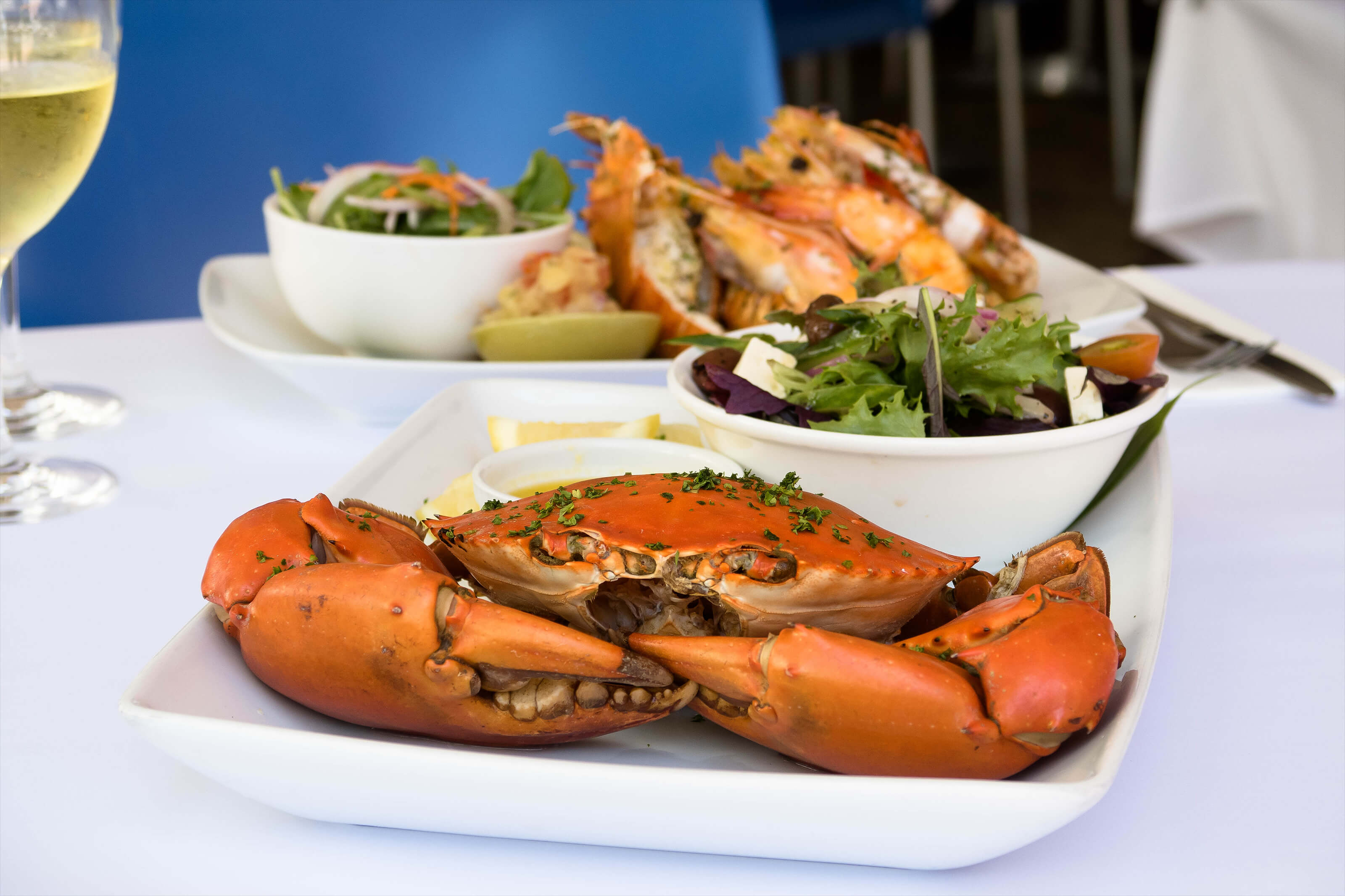 Cairns & Great Barrier Reef | 14 Food trail highlights on the Atherton ...